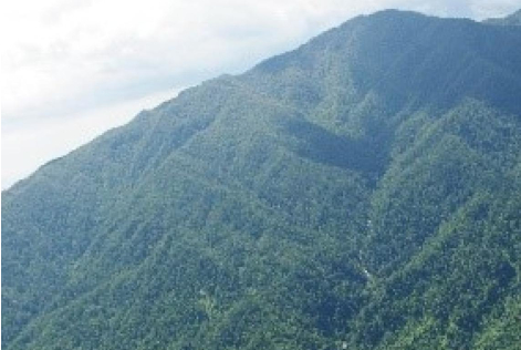 Explore a ferramenta FSC Blockchain: Webinars recorrentes para ...