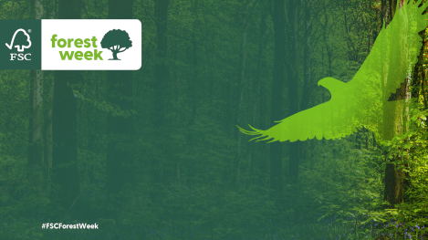 Semana da Floresta FSC® 2024 | Forest Stewardship Council