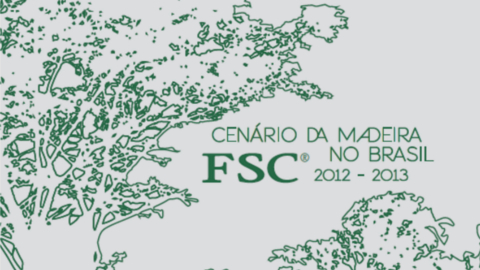 Lançamento do livro do FSC® Brasil na Virada Sustentável! | Forest ...