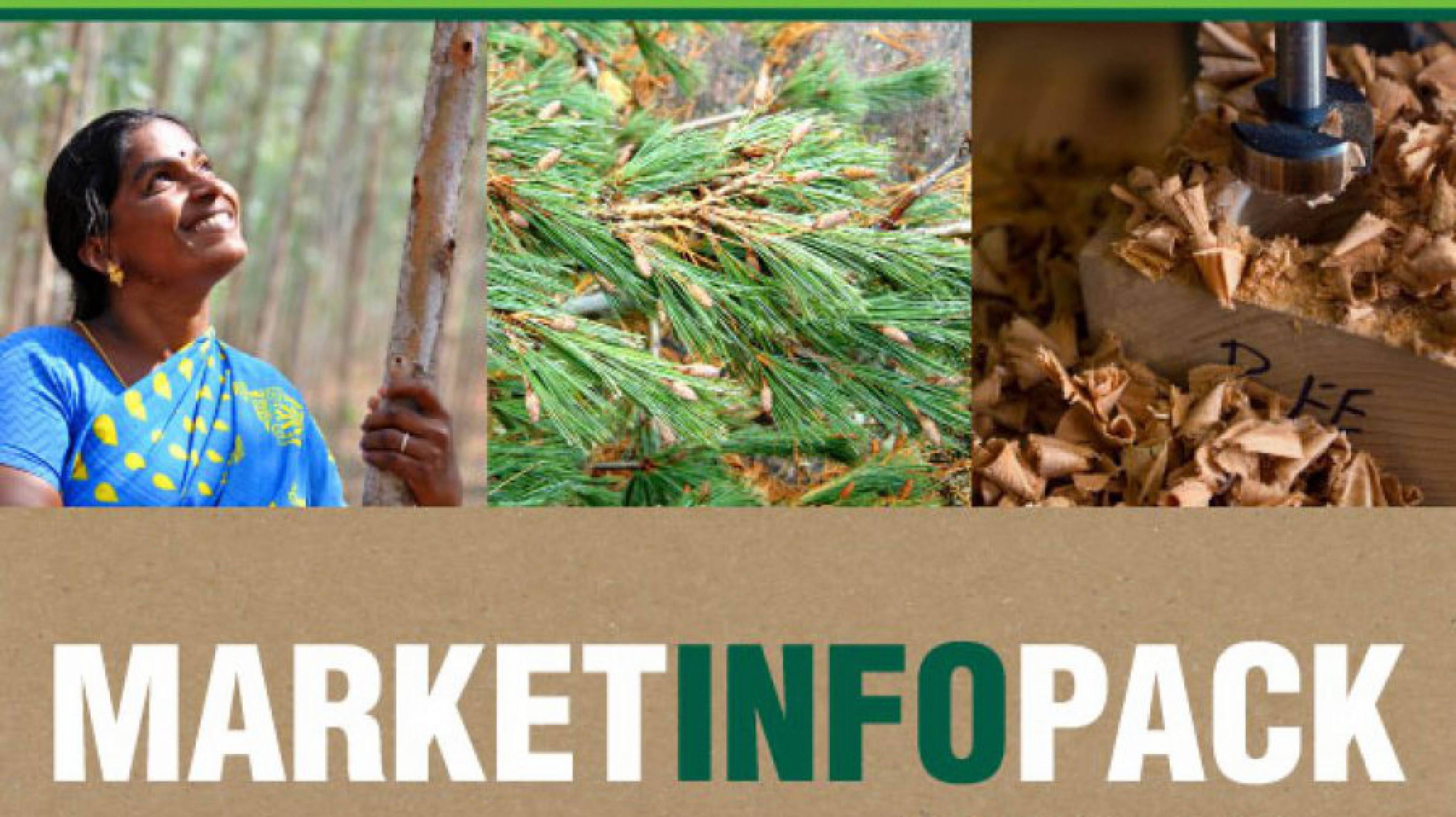 Entenda como o FSC® pode impactar a sua empresa de forma positiva. Faça ...