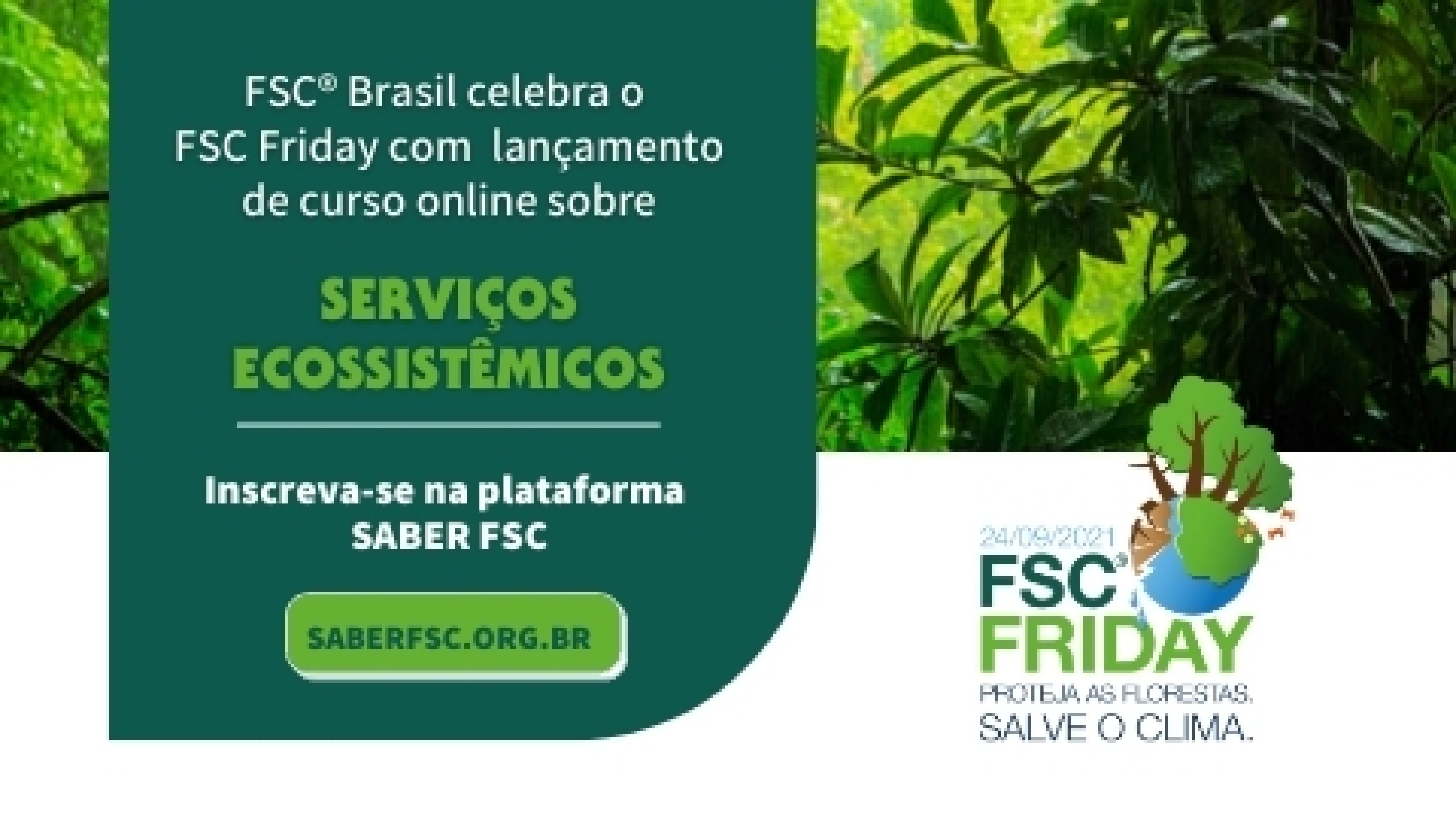 No FSC® Friday, FSC Brasil lança curso sobre serviços ecossistêmicos ...