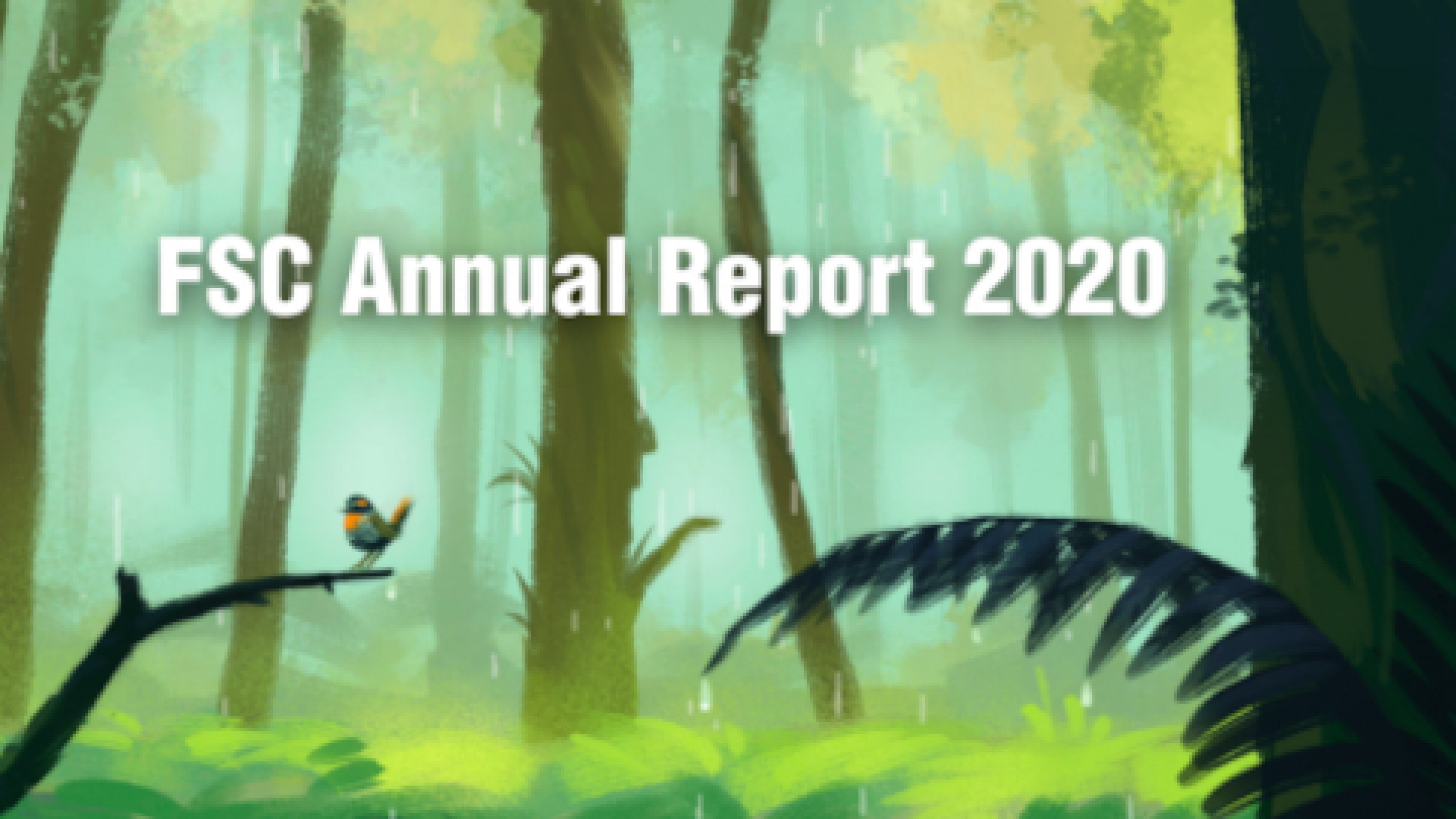 “Um Ano Diferente de Qualquer Outro”: O Relatório Anual do FSC Internacional 2020 está ...